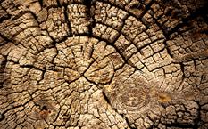 Spa And Sport - Swissôtel Hotels And Resorts